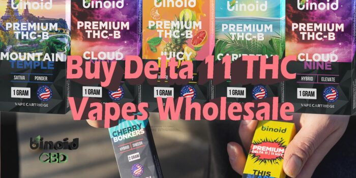 Buy Delta 11 THC Vapes Wholesale | Bulk Delta 11 Vape Carts